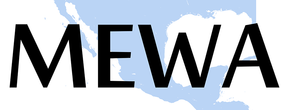 MEWA - DTU Wind and Energy Systems