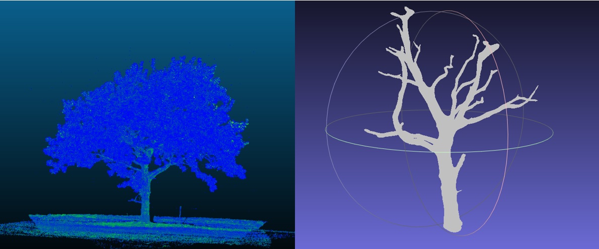 Single Tree - DTU Wind and Energy Systems